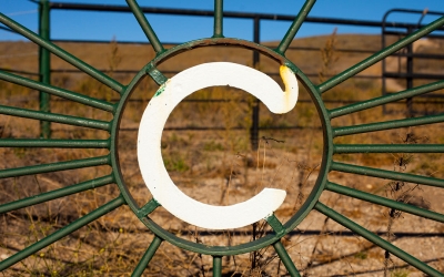 Bixby Ranch Purchase: Will Preserve a Magic Stretch of California ...